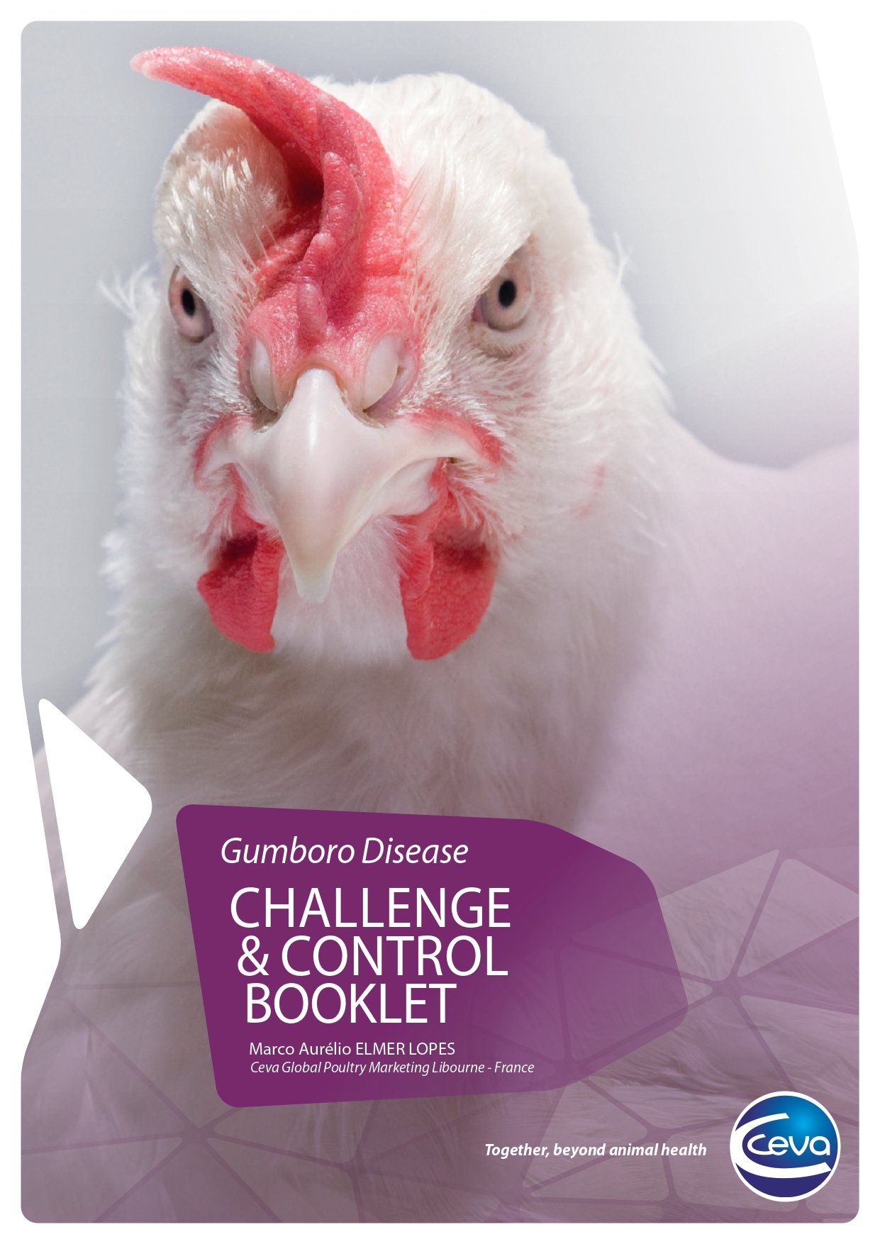 Different Types of Gumboro Vaccines | Varieties of IBD Vaccines